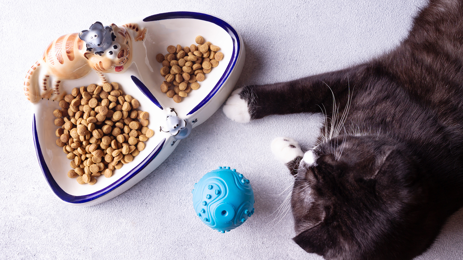 Probiotik untuk Kucing - Temptations™ Indonesia