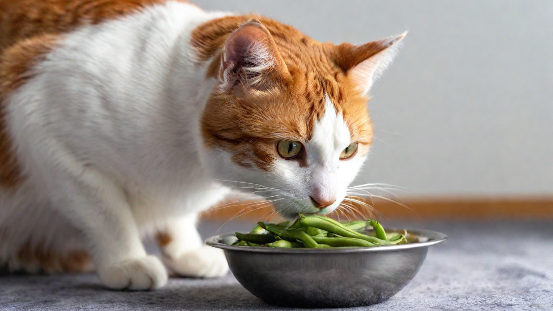 Can Cats Eat Vegetables? Are Vegetables Good For Cats? - Temptations ...