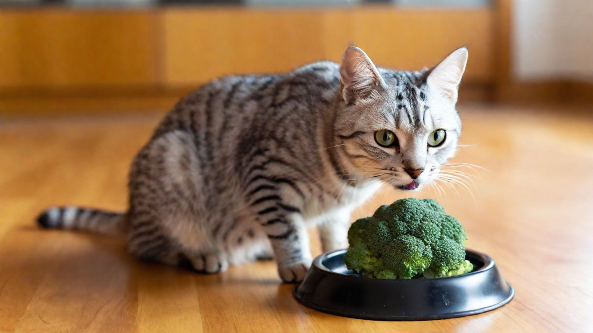 Can Cats Eat Veggies? Which Vegetables are Safe for Cats? - Temptations ...
