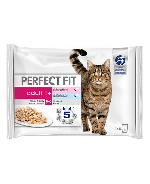 Discover Our Range of Dry Cat Food | PERFECT FIT™