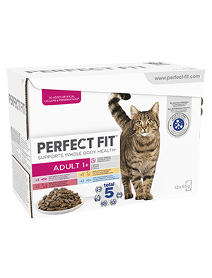 Discover Our Range of Dry Cat Food | PERFECT FIT™