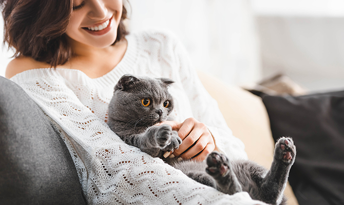 Umur Kucing: Perbedaan Umur Kucing dan Manusia | Sheba® Indonesia