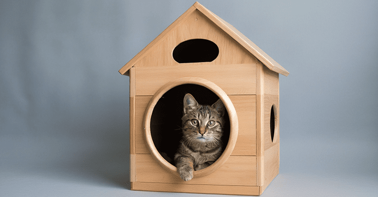 Cat House Ideas: Tips to Build a Home for Cats | Sheba® Singapore