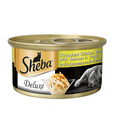 Buy Sheba Cat Food & Premium Sheba Pouch for Cats | Sheba® Singapore
